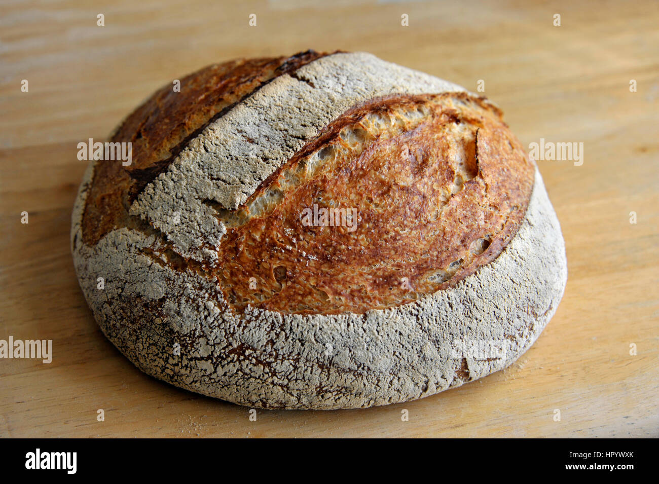 Homemade artisan round white sourdough bread loaf made from natural ...
