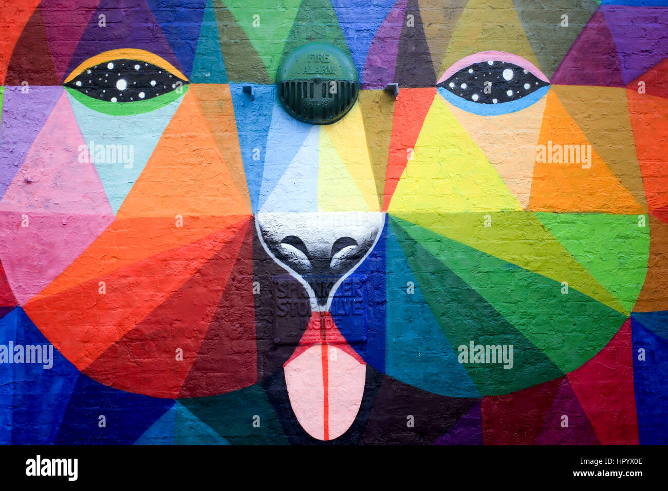 Graffiti cat hi-res stock photography and images - Alamy