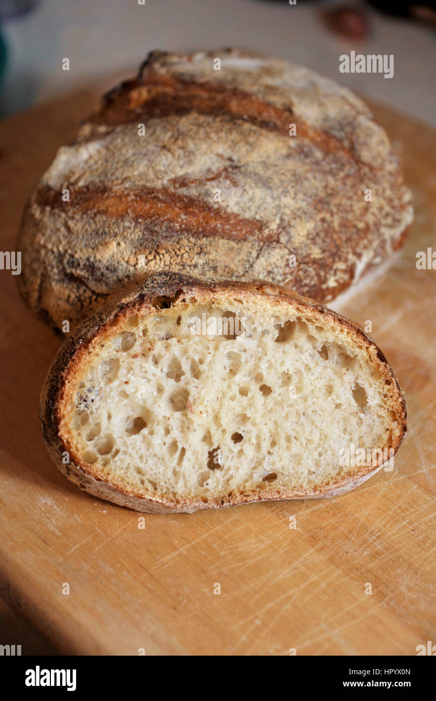 Homemade artisan round white sourdough bread loaf made from natural ...