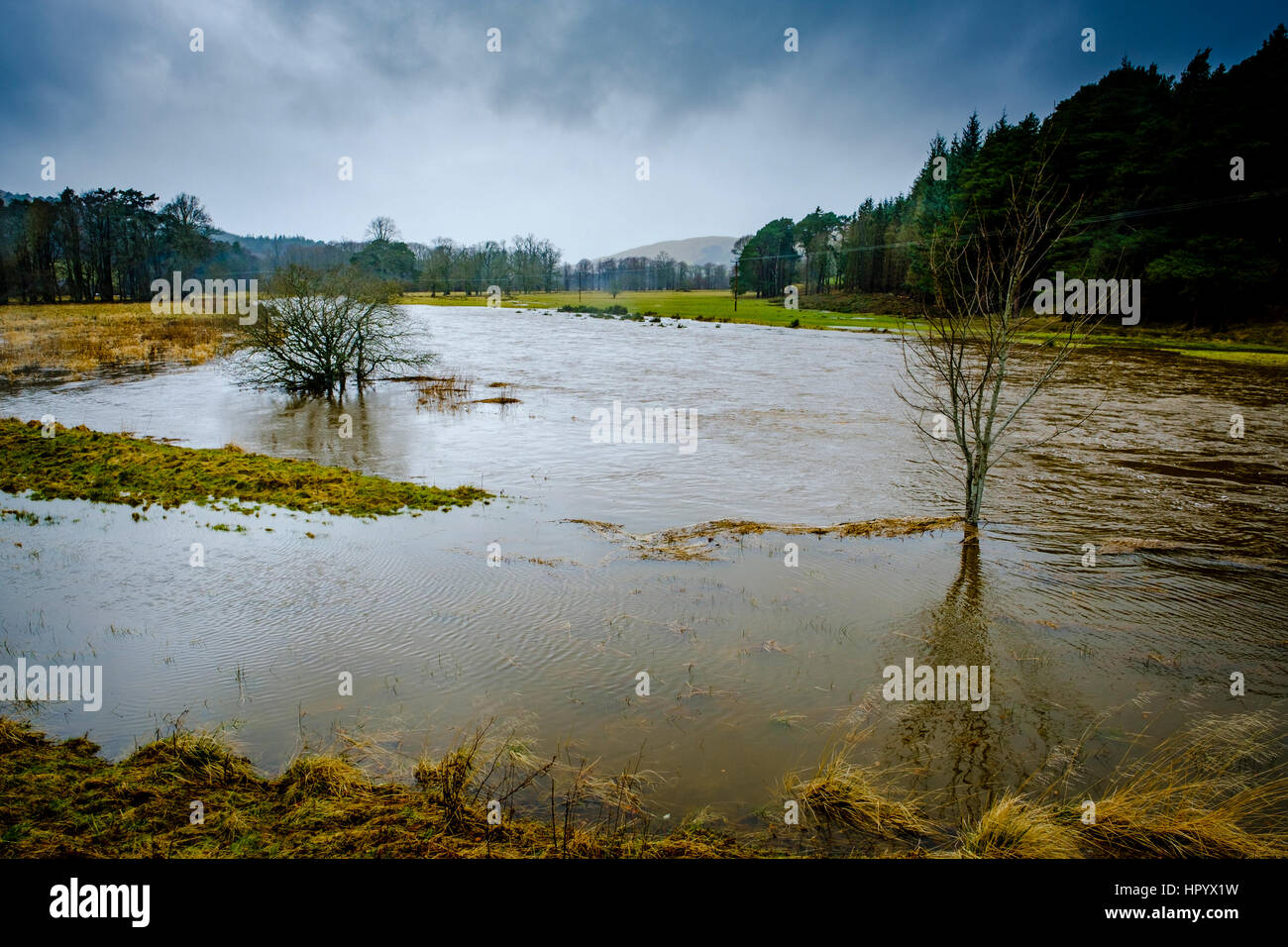 The River Tweed in flood in the Tweed valley between Broughton and ...