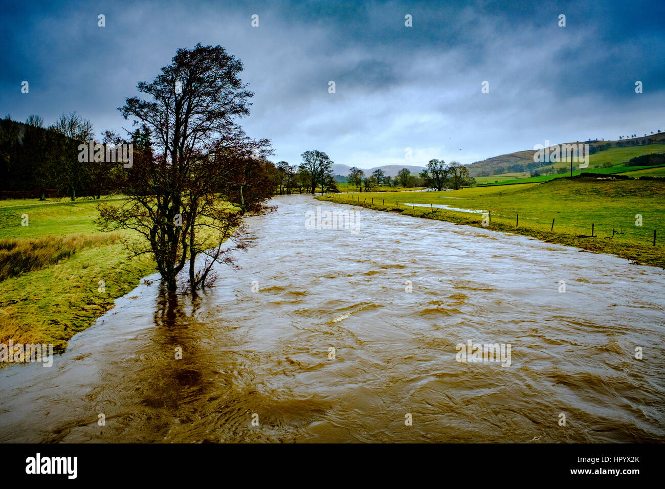 The River Tweed in flood in the Tweed valley between Broughton and ...
