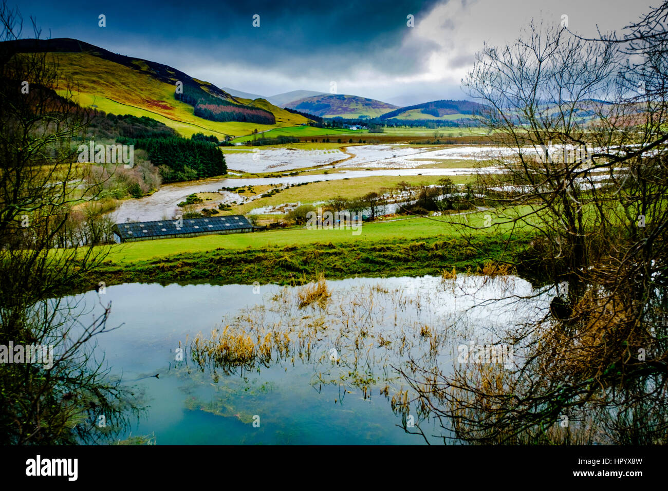 The River Tweed in flood in the Tweed valley between Broughton and ...