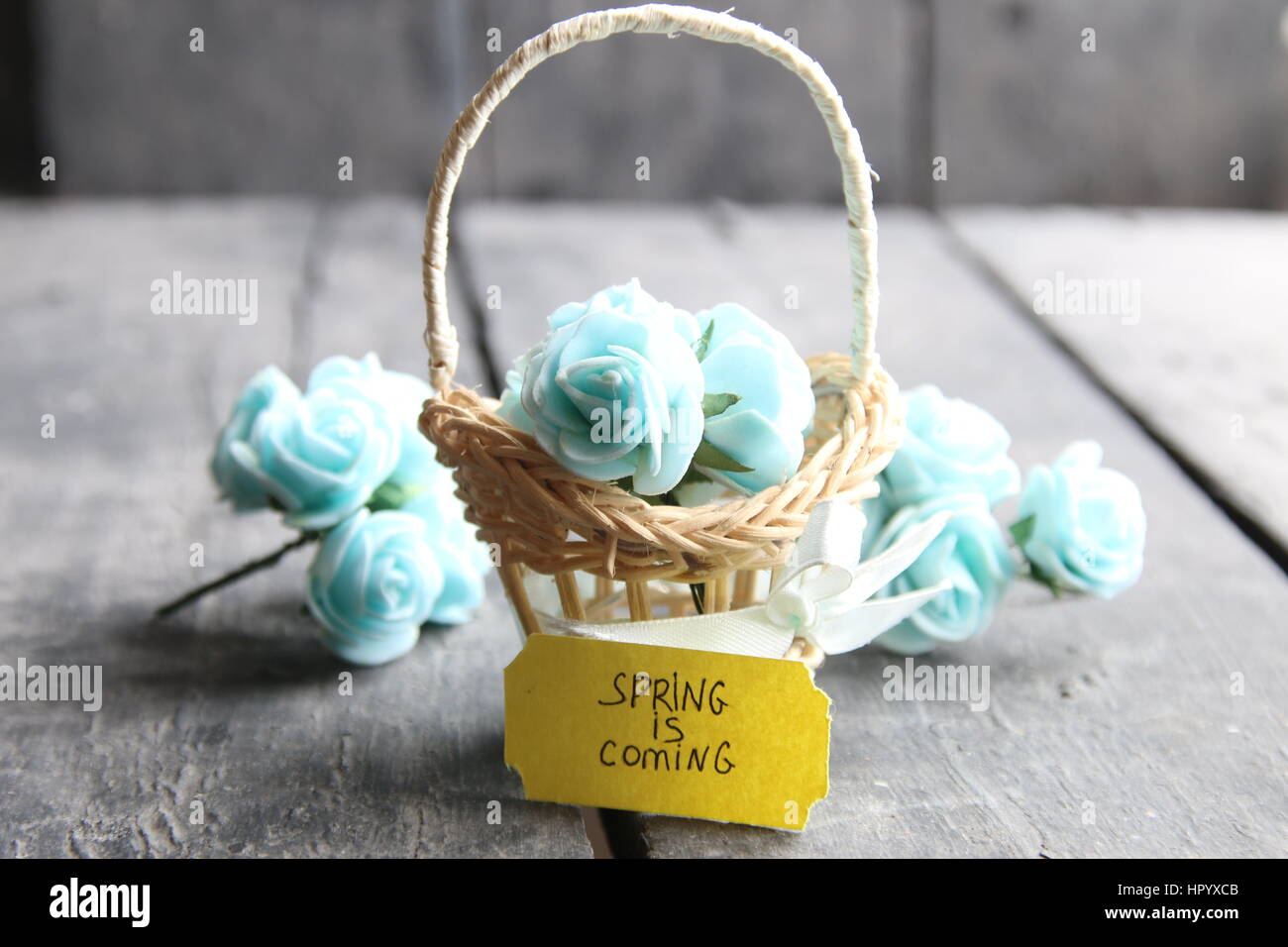 Spring is coming Beautiful bouquet of blue flowers in basket and tag ...