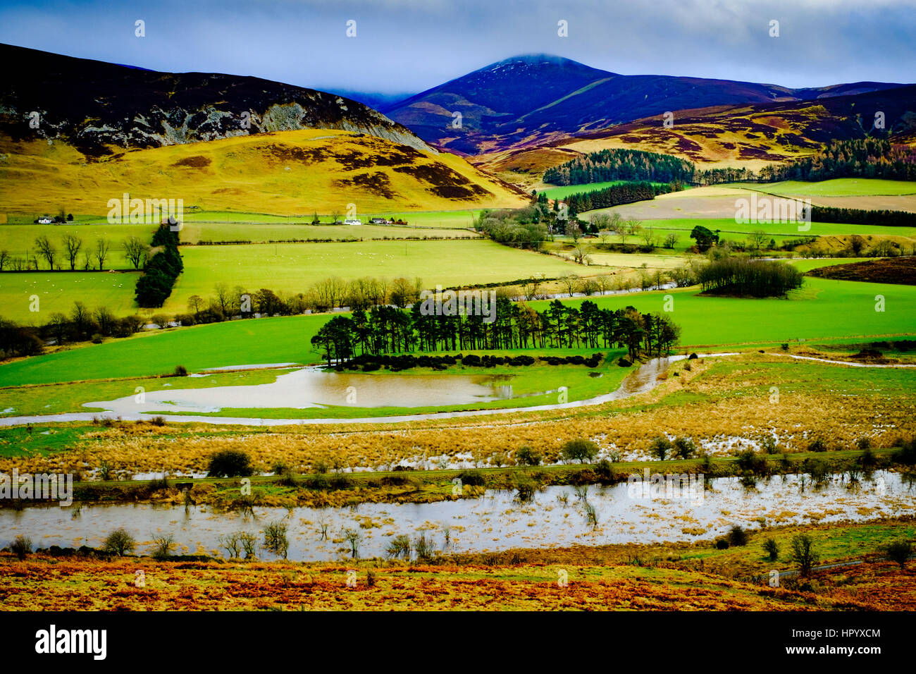 The River Tweed in flood in the Tweed valley between Broughton and ...