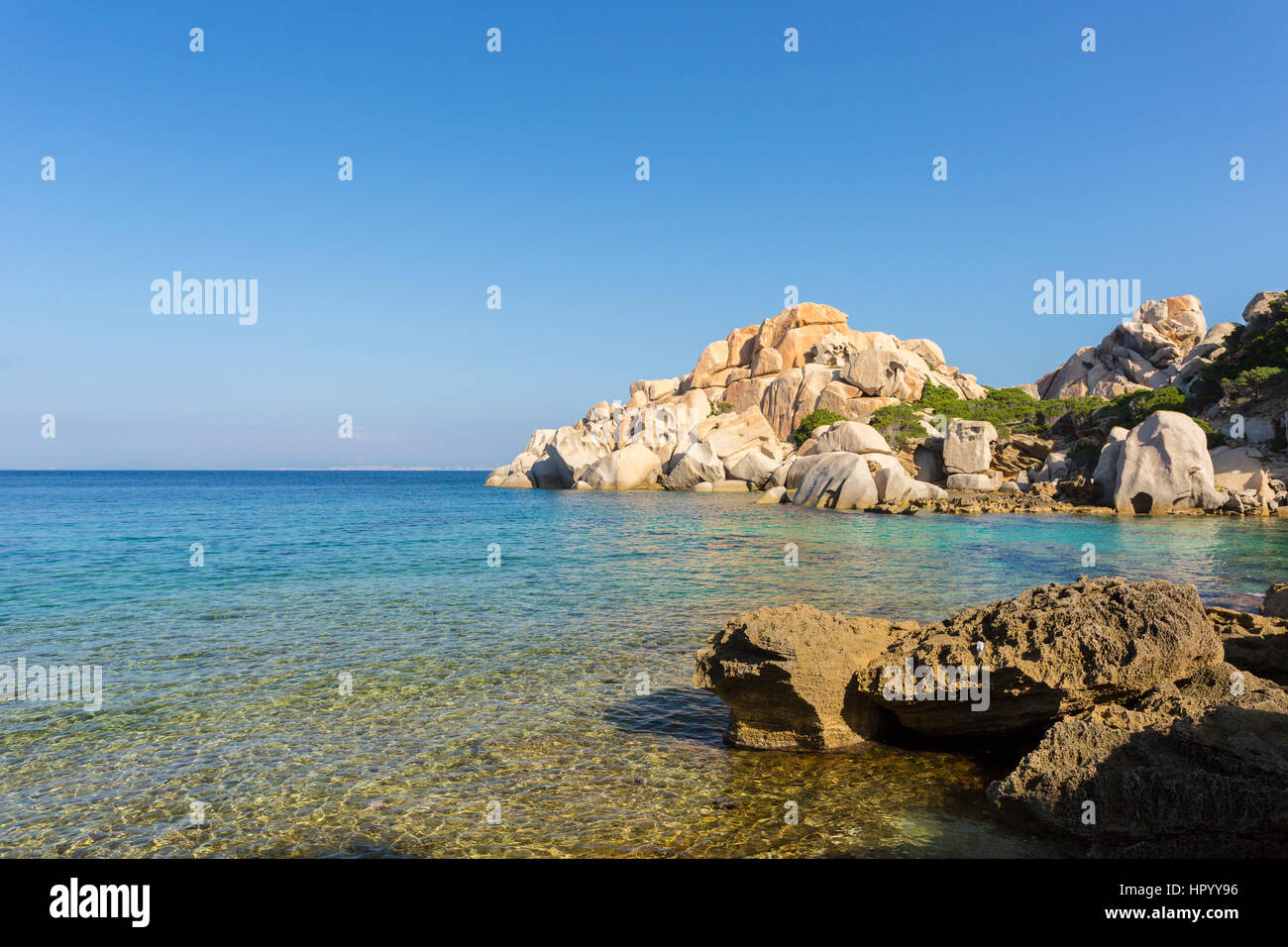 Cala spinosa hi-res stock photography and images - Alamy