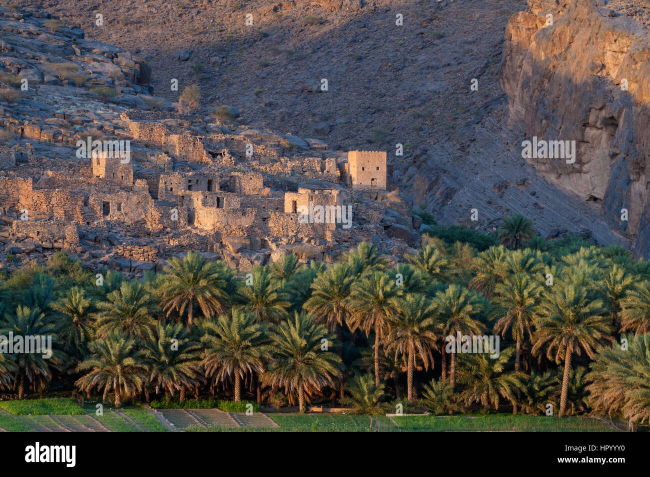 buildings and palms in wadi shams oman Stock Photo - Alamy