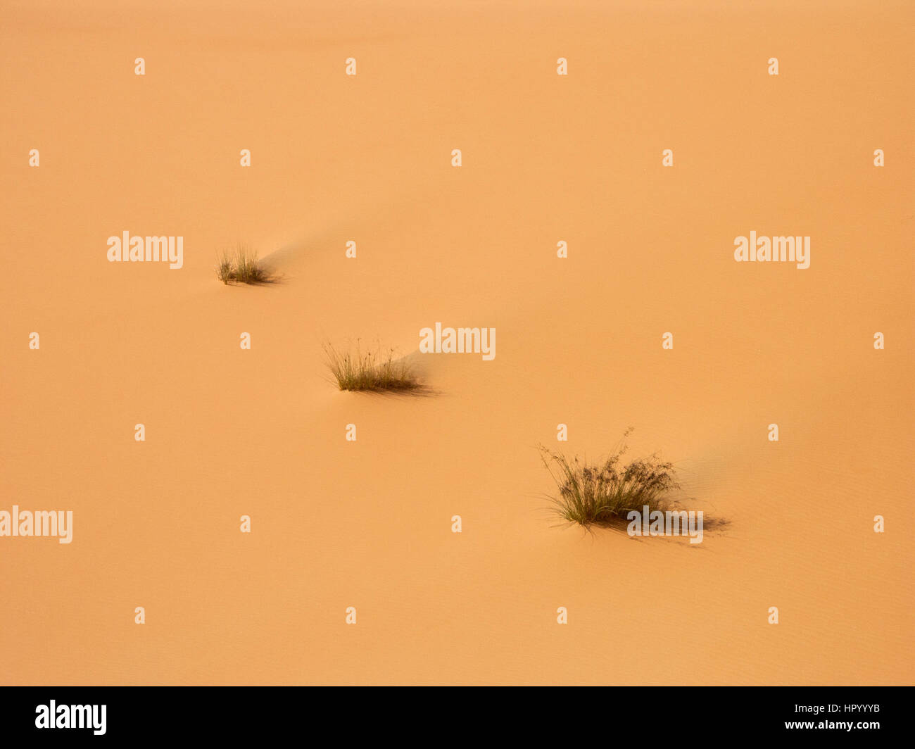 Clumps of land hi-res stock photography and images - Alamy