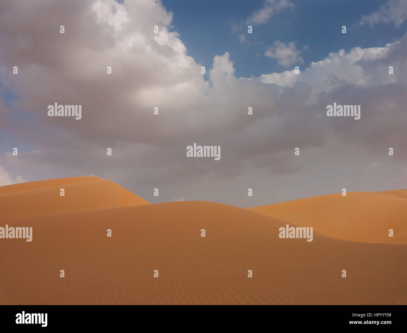 wavy dunes and cloudy skies Stock Photo - Alamy