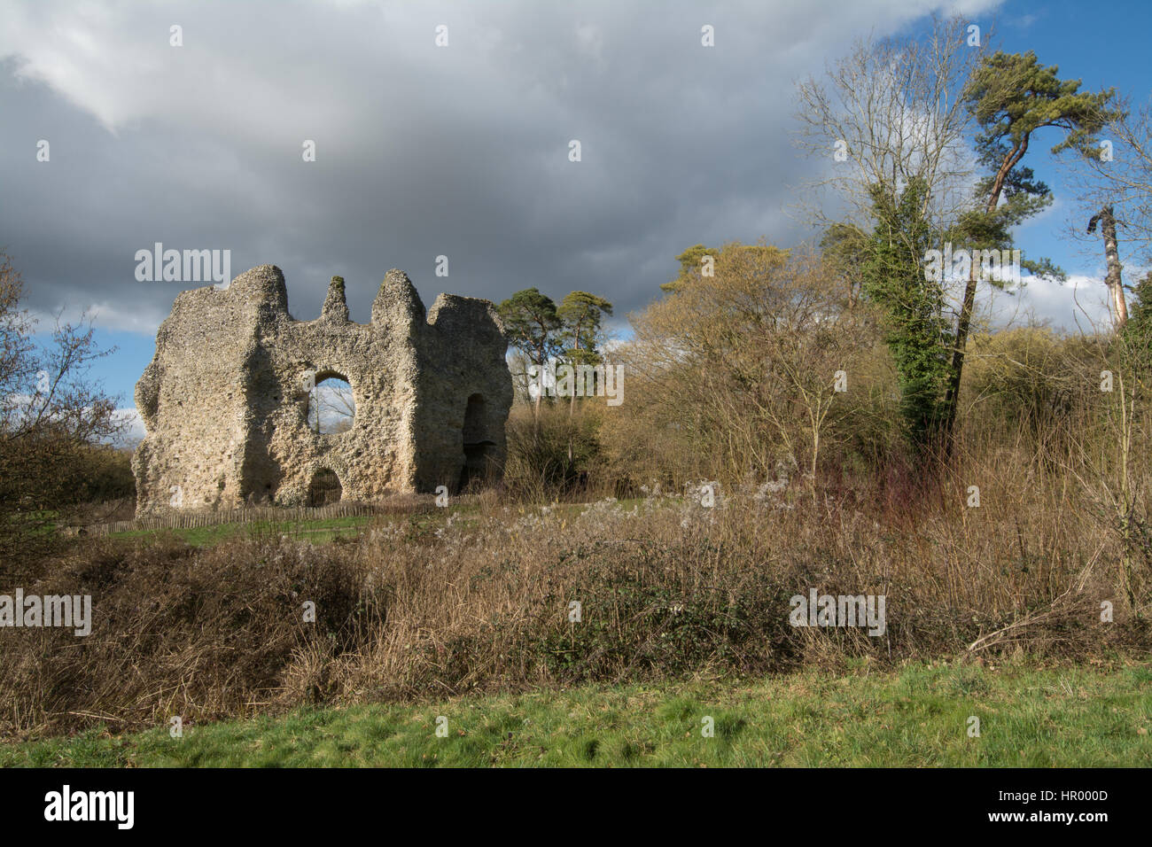 Odiham castle hi-res stock photography and images - Alamy