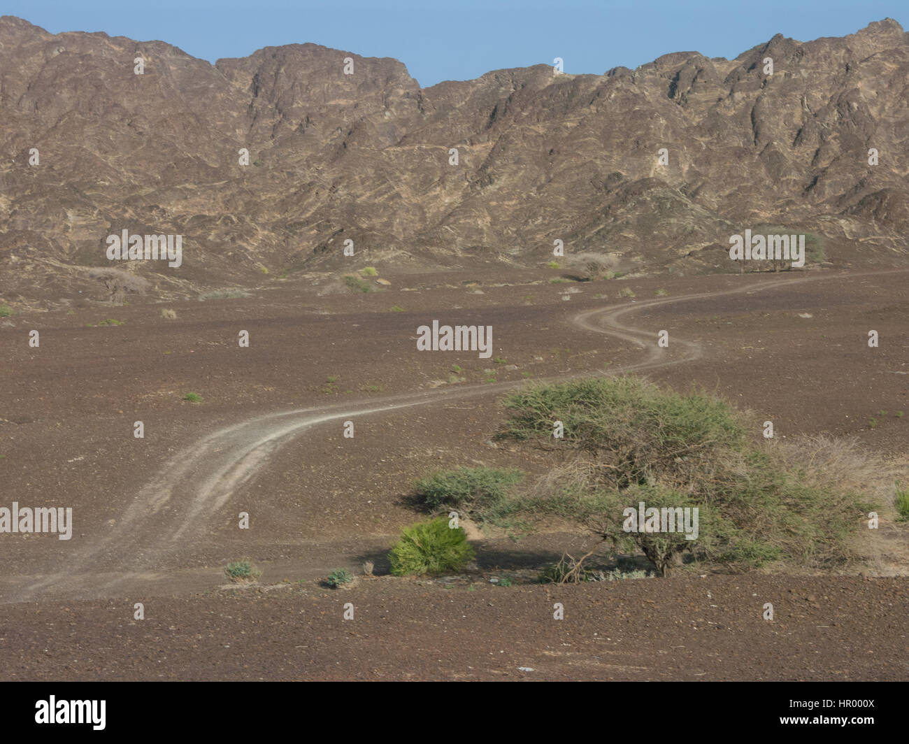 vanishing path in desert towards a hill Stock Photo - Alamy