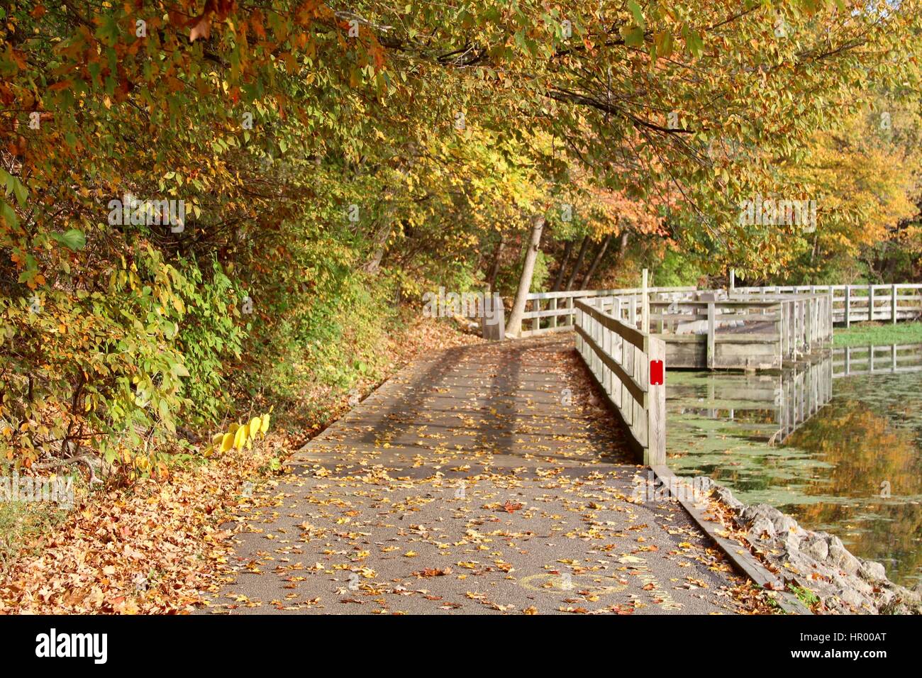 The autumn path in the park Stock Photo - Alamy