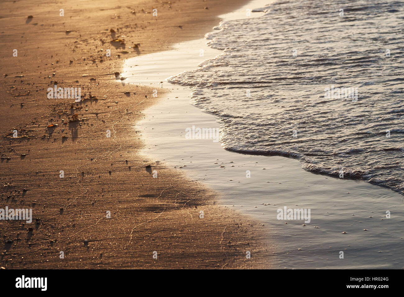 Shiny tropic sea wave on golden beach sand in sunset light Stock Photo ...