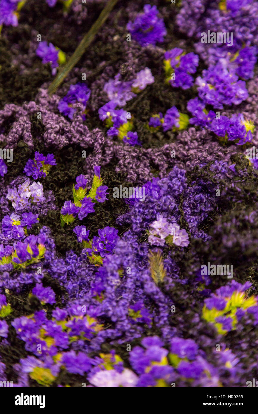closeup a lot of flowers for bouquet in shop Stock Photo - Alamy