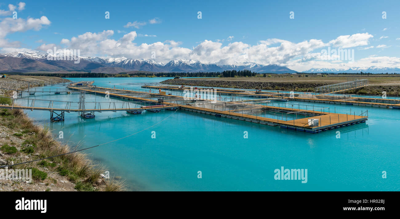 Alpine salmon hi-res stock photography and images - Alamy
