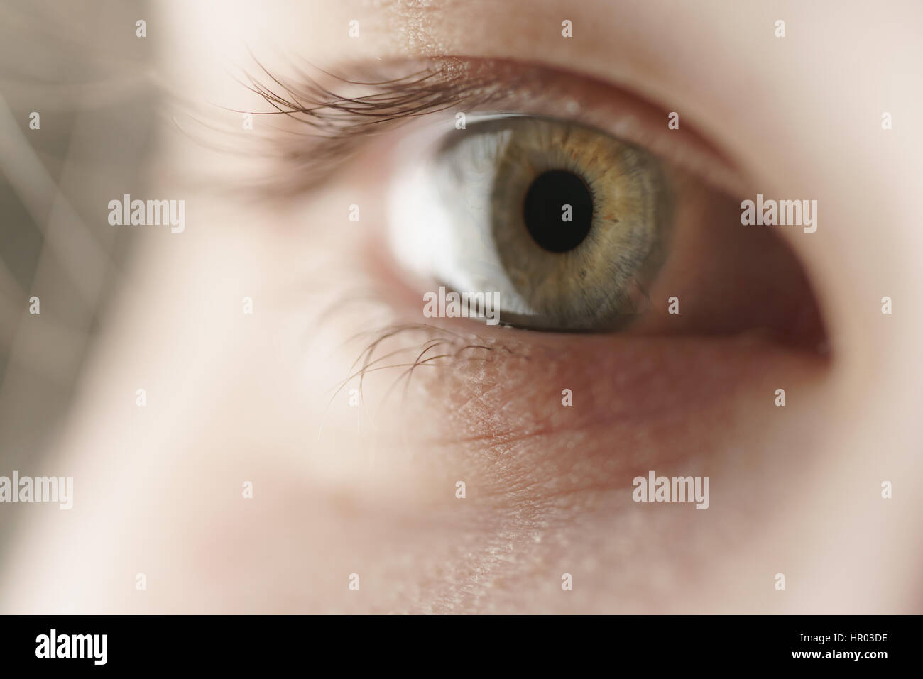 Closeup of teenage girl green eye looking straight, shallow focus Stock ...
