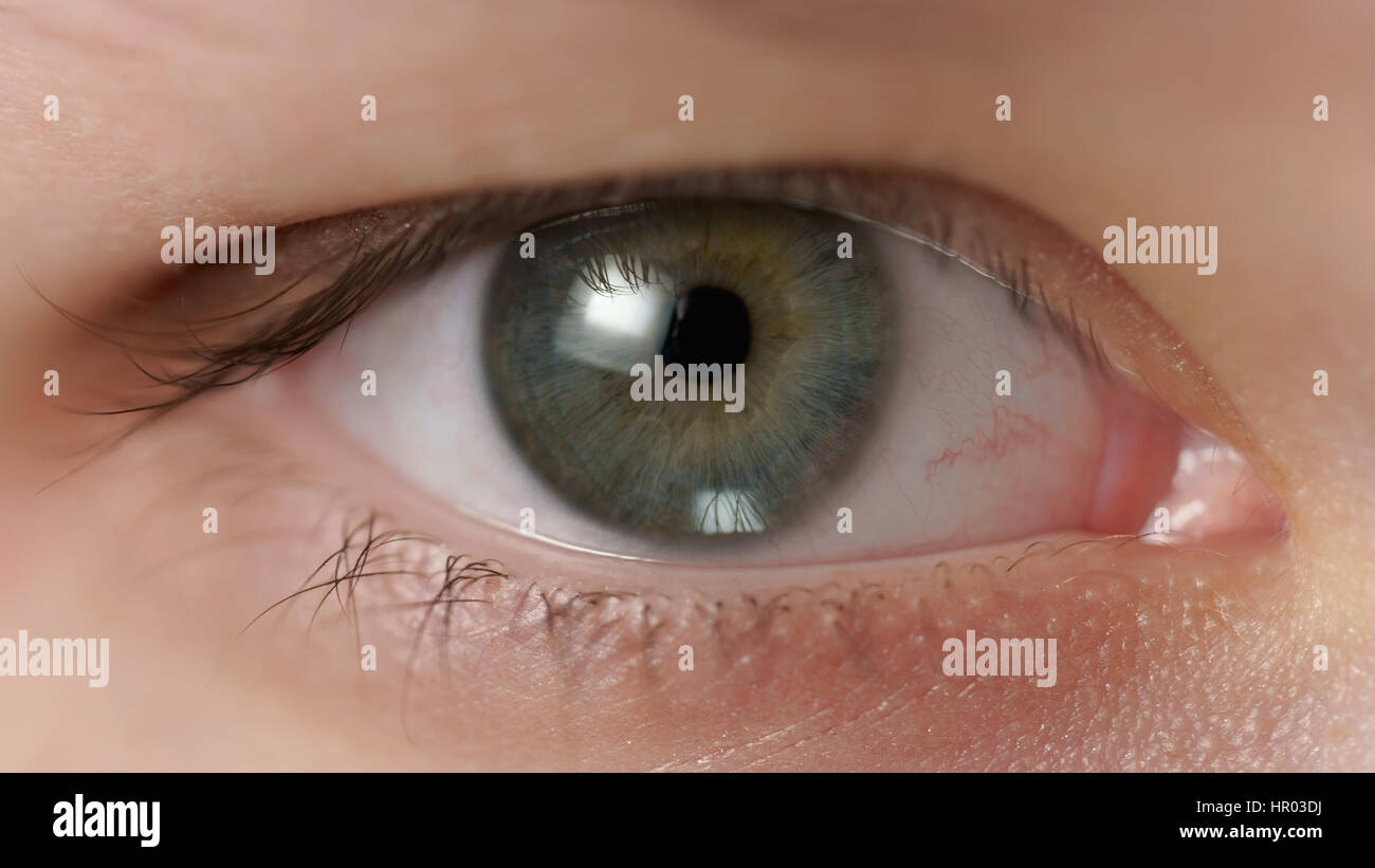 Closeup of teenage girl green eye looking straight, shallow focus Stock ...