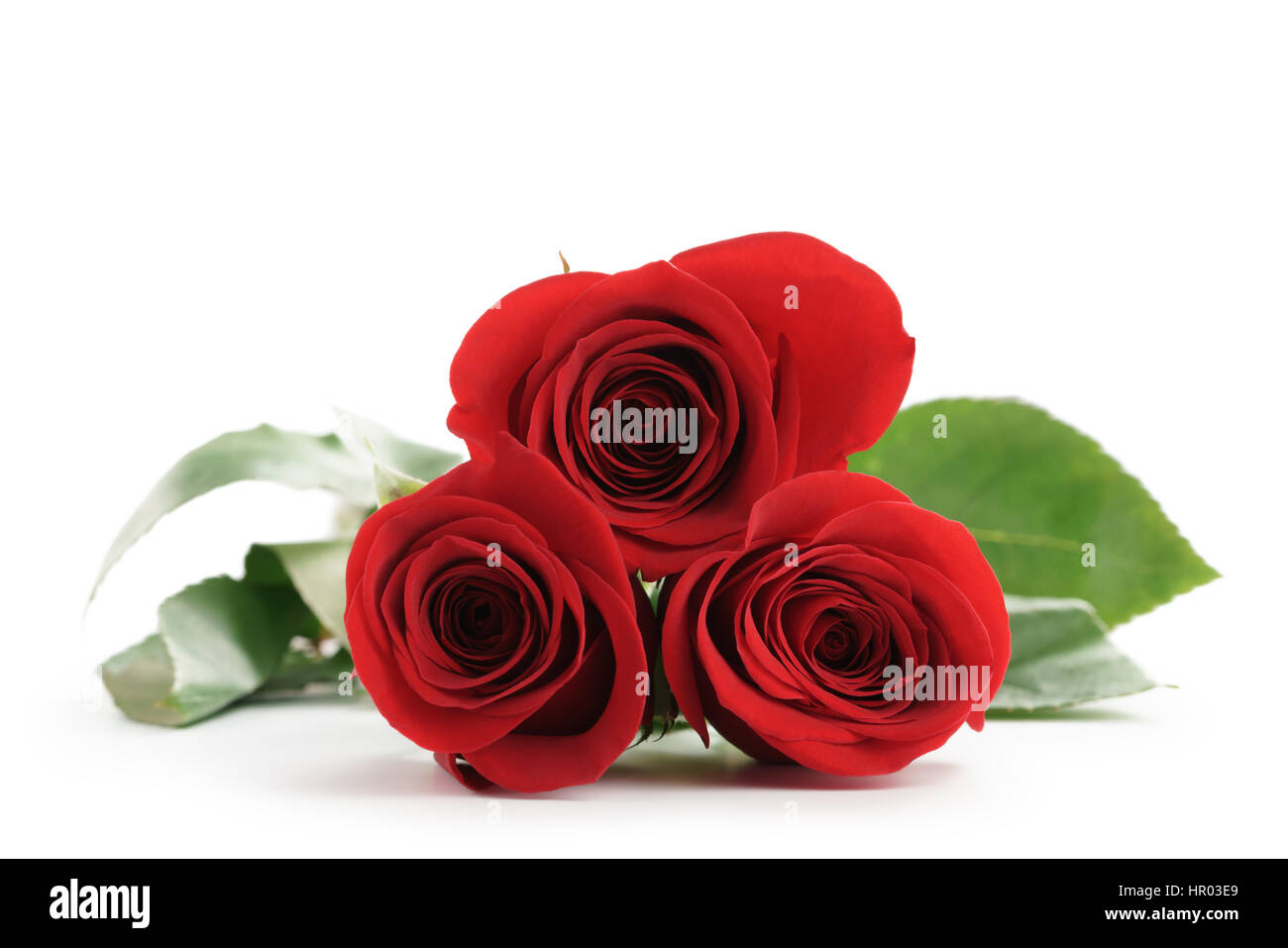 three fresh red roses isolated on white background Stock Photo - Alamy