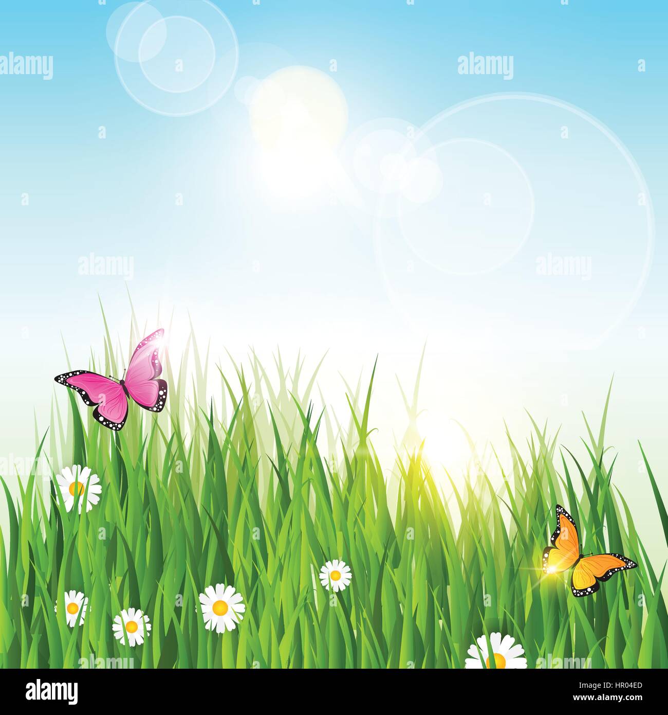 Spring Landscape Green Grass Blue Sky Land Banner Stock Vector Image ...