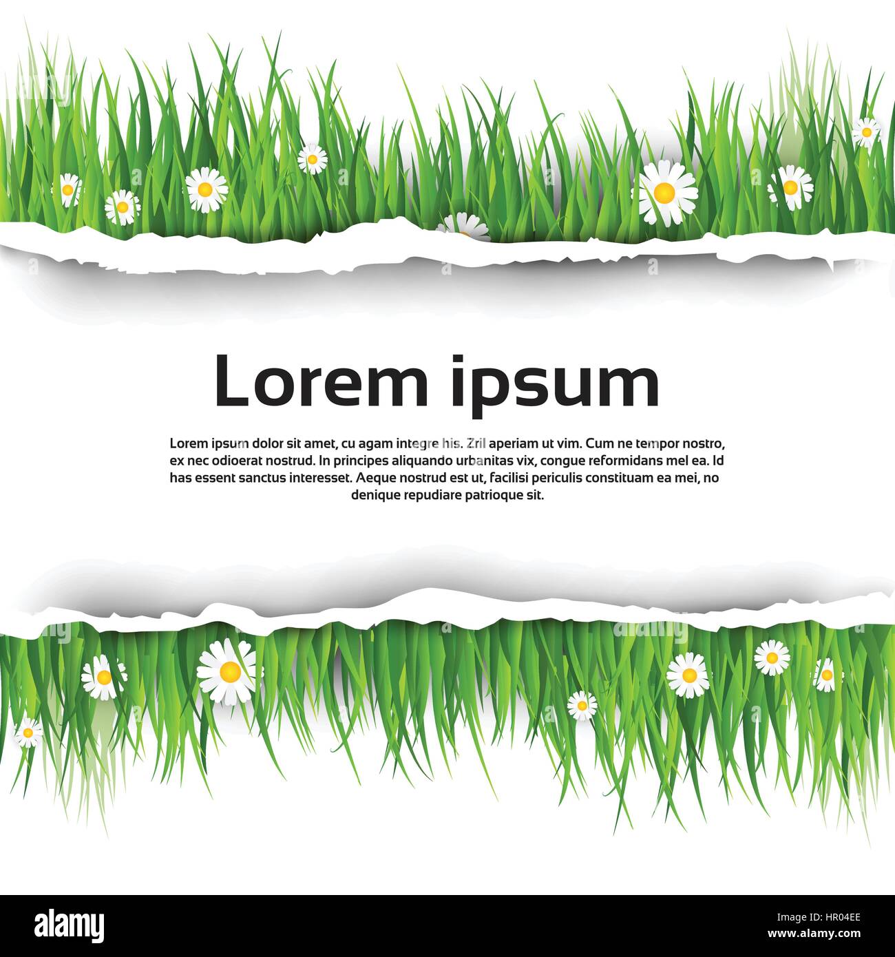Spring Landscape Green Grass Flower Butterfly Land Banner Stock Vector ...