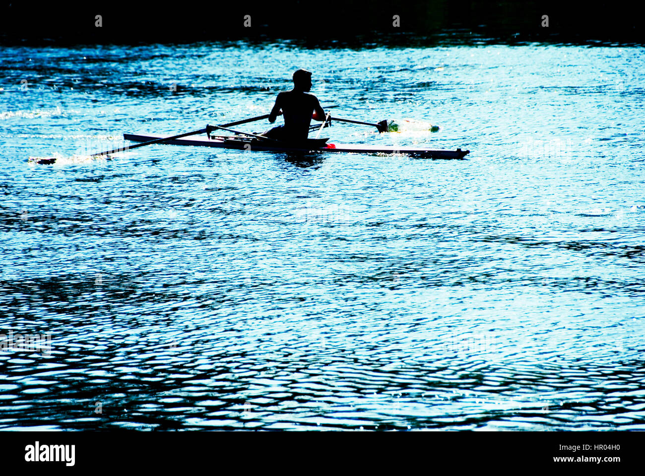 silhouette of a young man training rowing in the river Stock Photo - Alamy