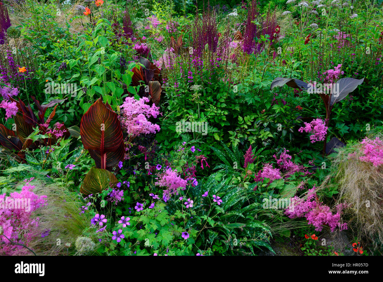 mix, mixed, bed, border,lush, tropical, exotic, hot, planting scheme ...