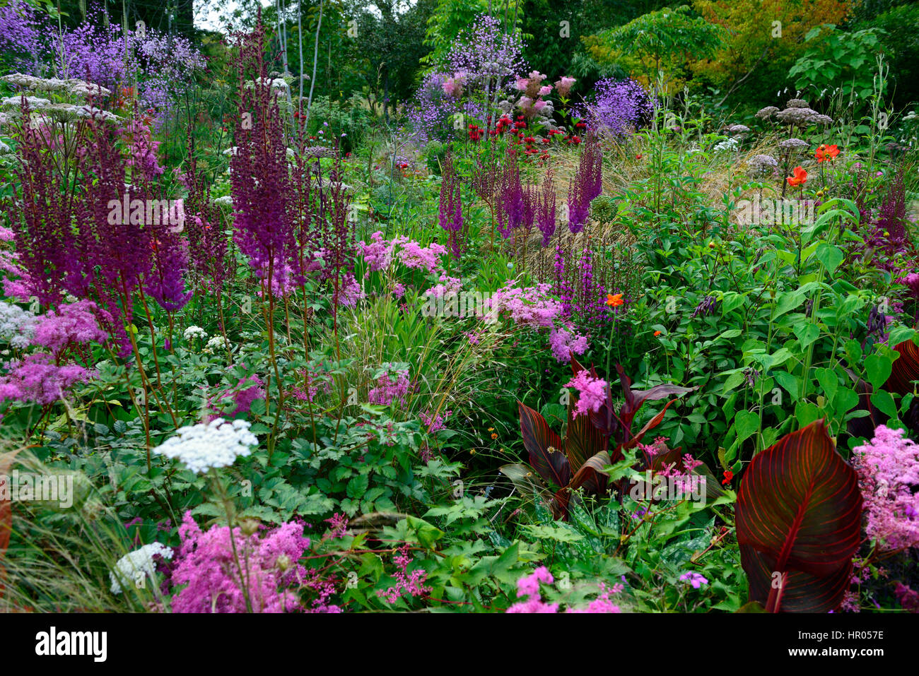 mix, mixed, bed, border,lush, tropical, exotic, hot, planting scheme ...