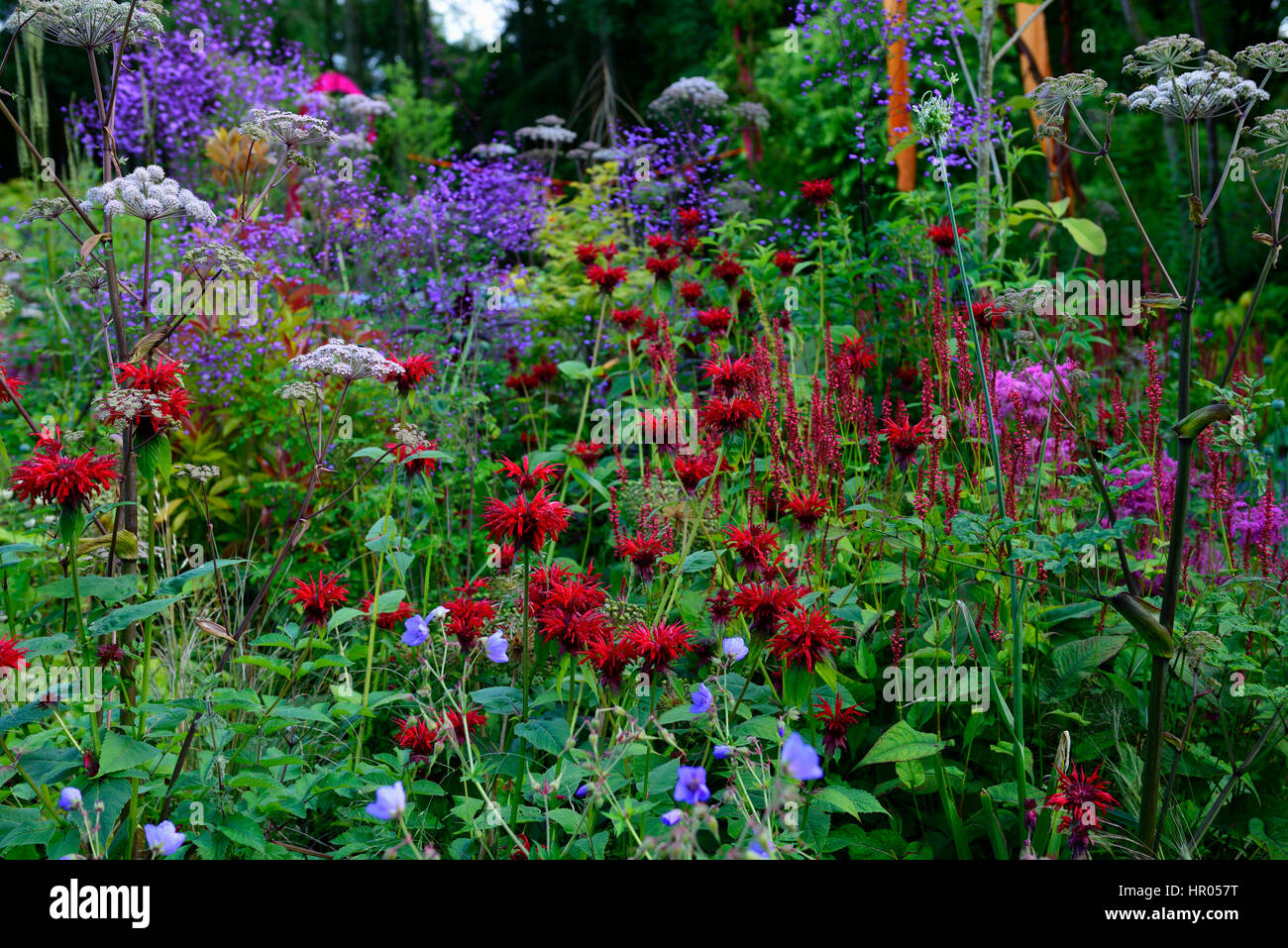 , mix, mixed, bed, border,lush, tropical, exotic, hot, planting scheme ...