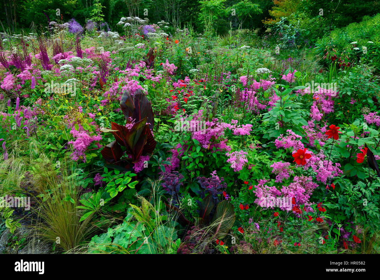 mix, mixed, bed, border,lush, tropical, exotic, hot, planting scheme ...