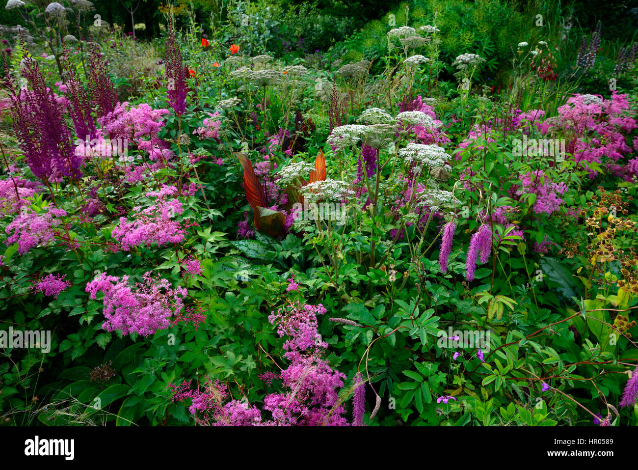 mix, mixed, bed, border,lush, tropical, exotic, hot, planting scheme ...