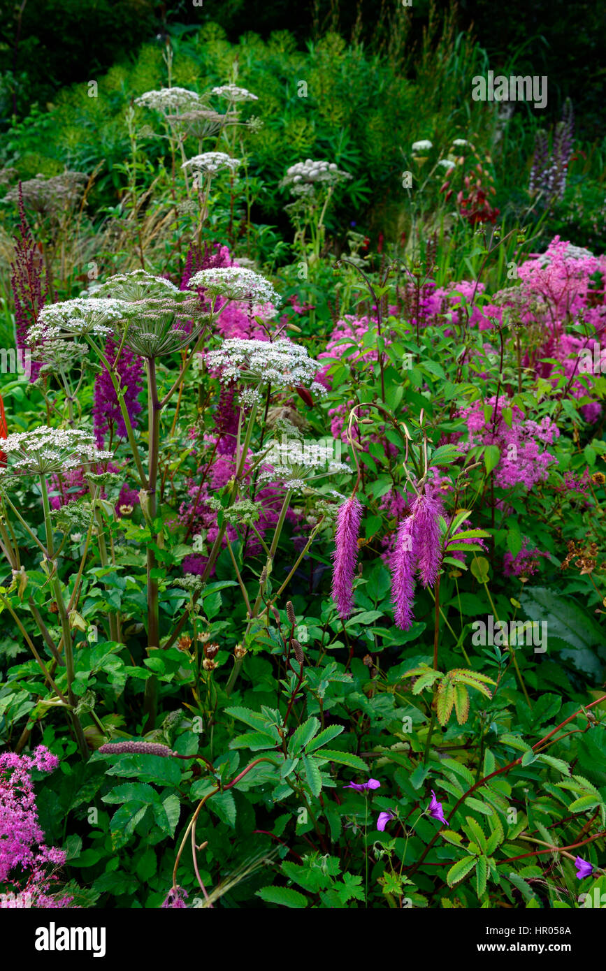 mix, mixed, bed, border,lush, tropical, exotic, hot, planting scheme ...