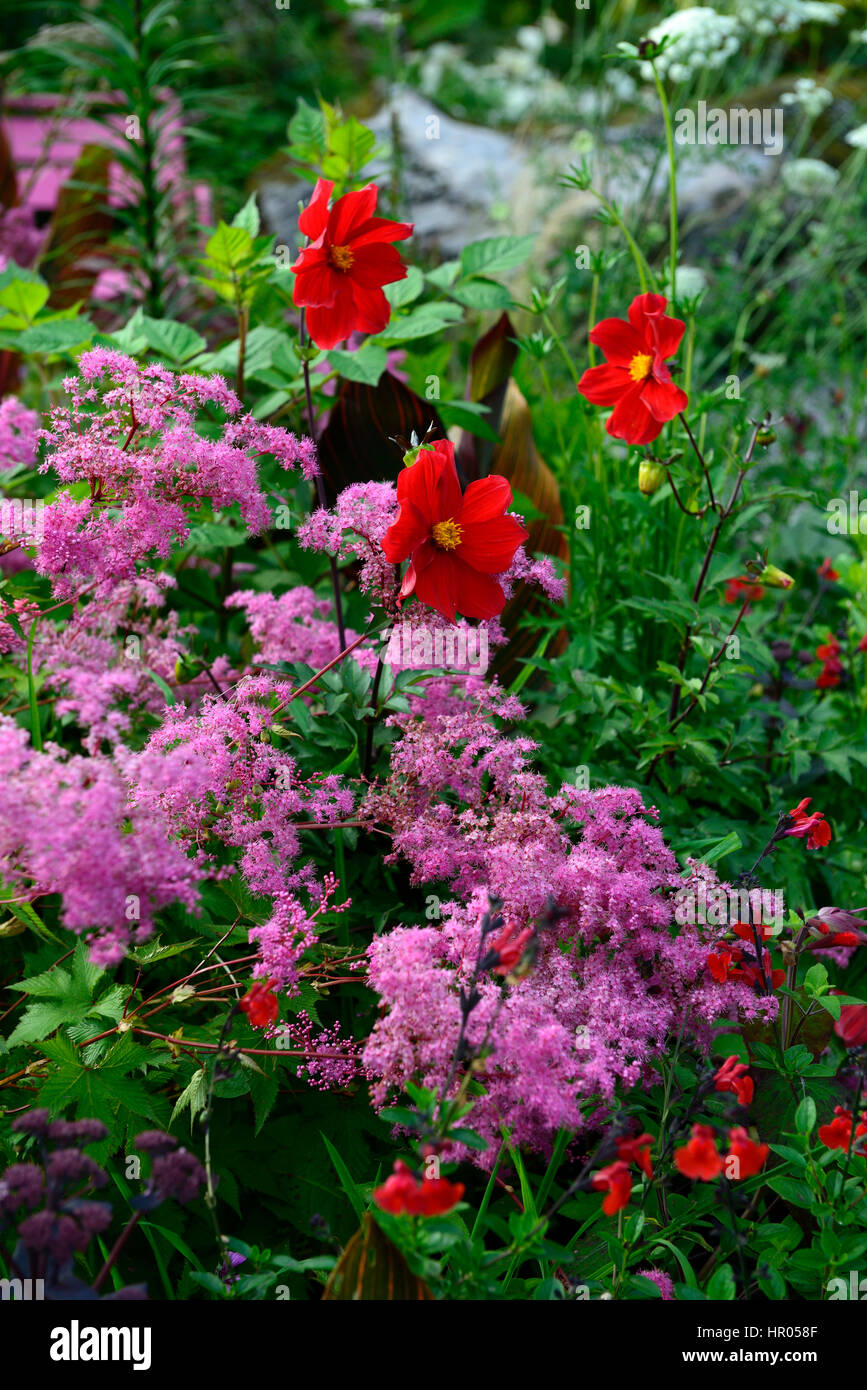 mix, mixed, bed, border,lush, tropical, exotic, hot, planting scheme ...