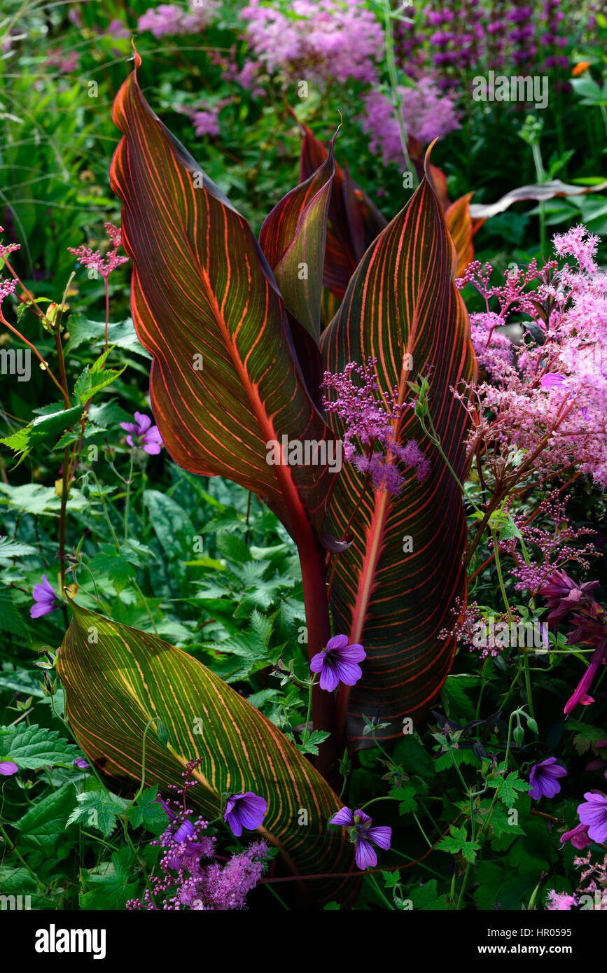 mix, mixed, bed, border,lush, tropical, exotic, hot, planting scheme ...