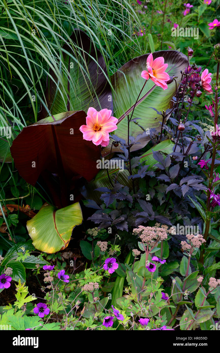 mix, mixed, bed, border,lush, tropical, exotic, hot, planting scheme ...