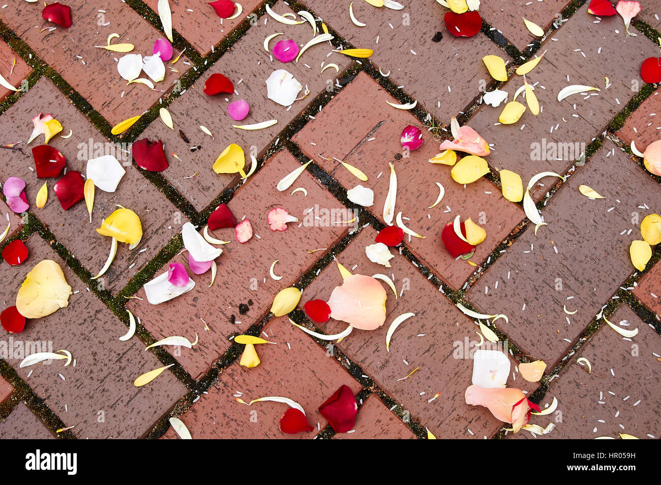 Red roses with the crowd hi-res stock photography and images - Alamy