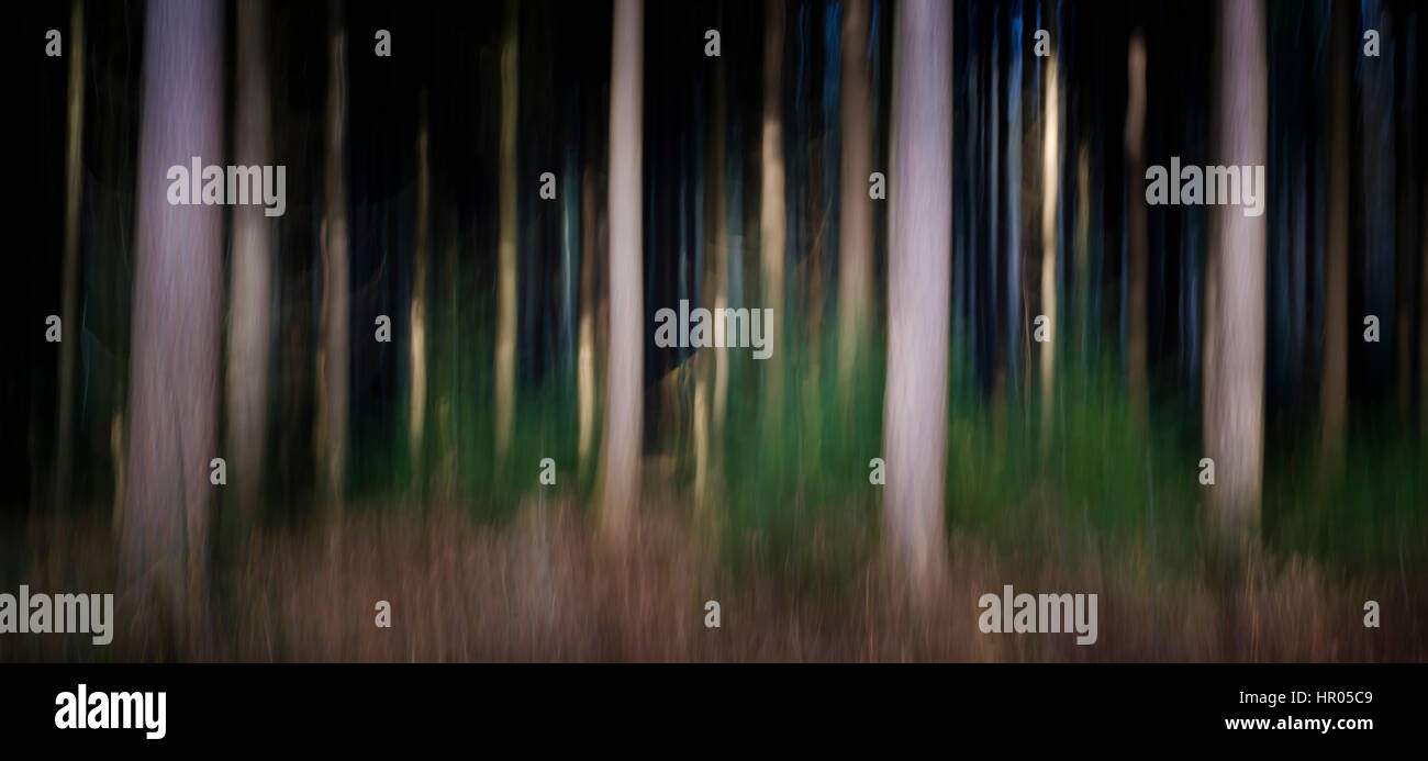 Abstract surreal forest background hi-res stock photography and images ...