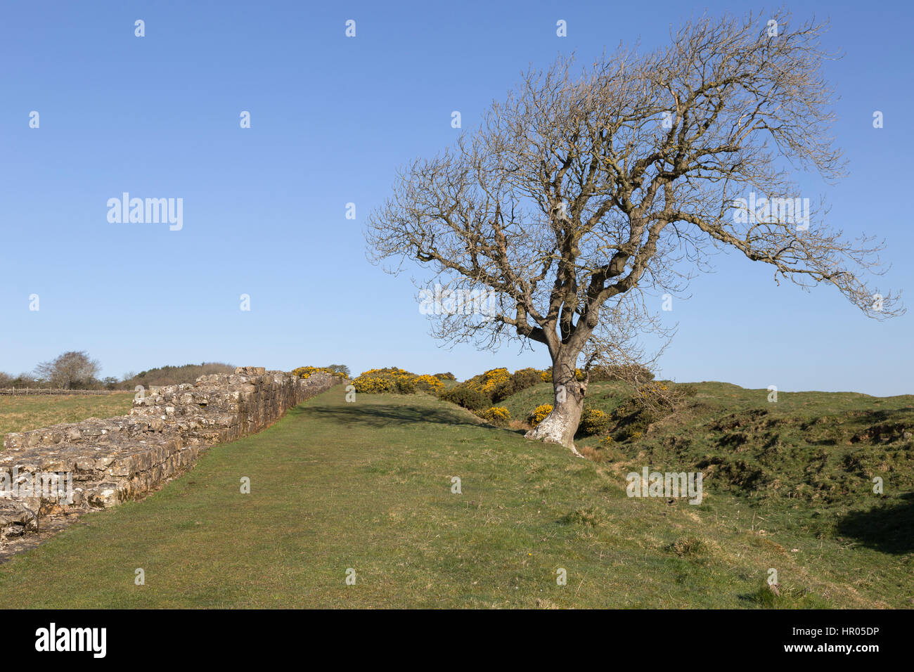 Hadrian's Wall: a stretch of Roman Wall and the accompanying Wall ditch ...