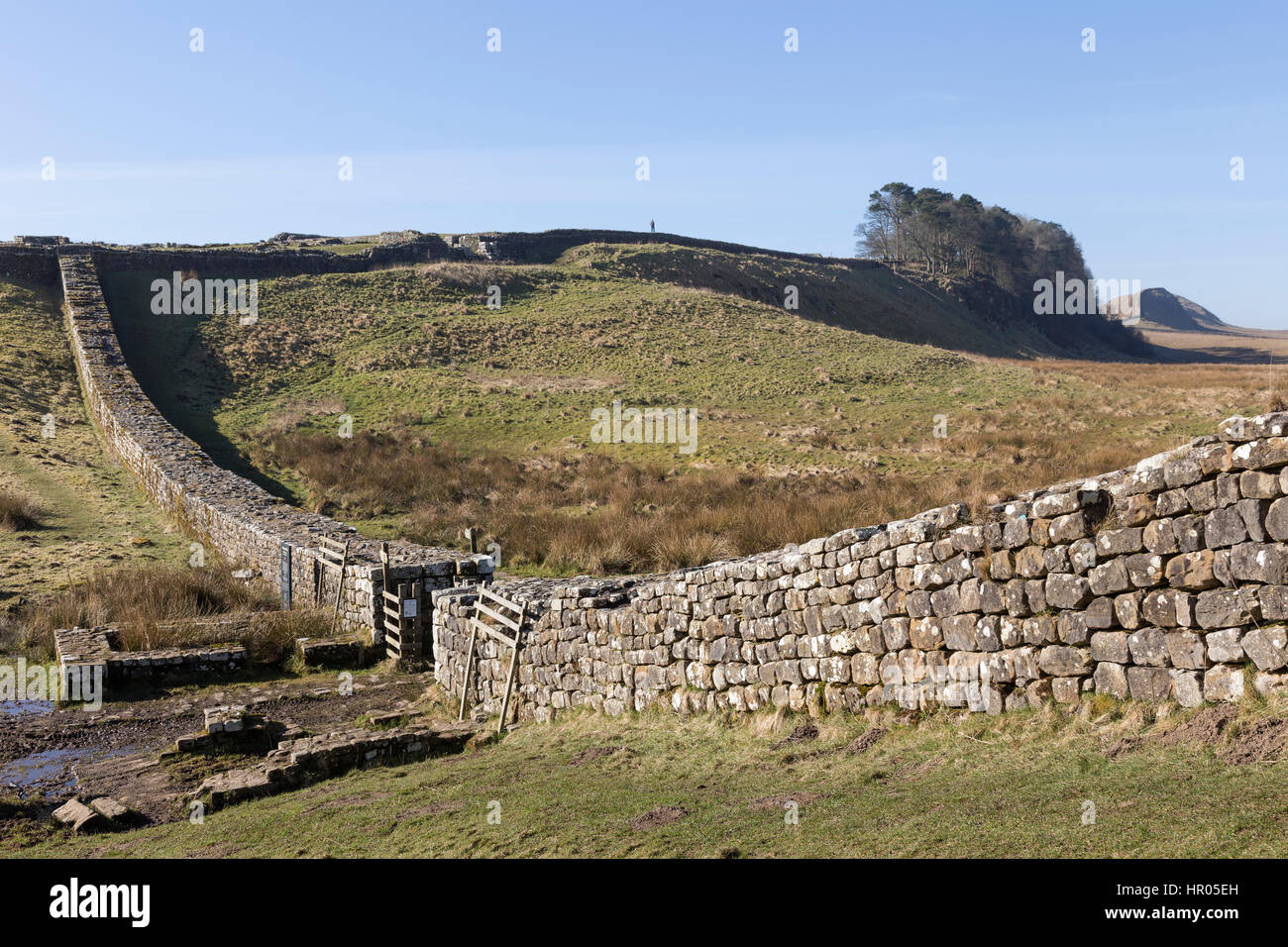 Hadrian's Wall: the Roman Wall, Knag Burn gateway and Housesteads Roman ...