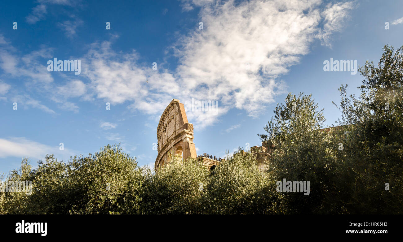 Top of the colosseum above the trees Stock Photo - Alamy