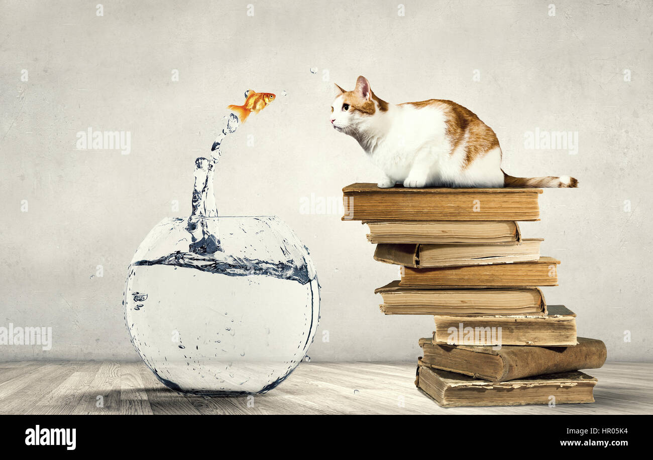 Funny lovely animals . Mixed media Stock Photo - Alamy