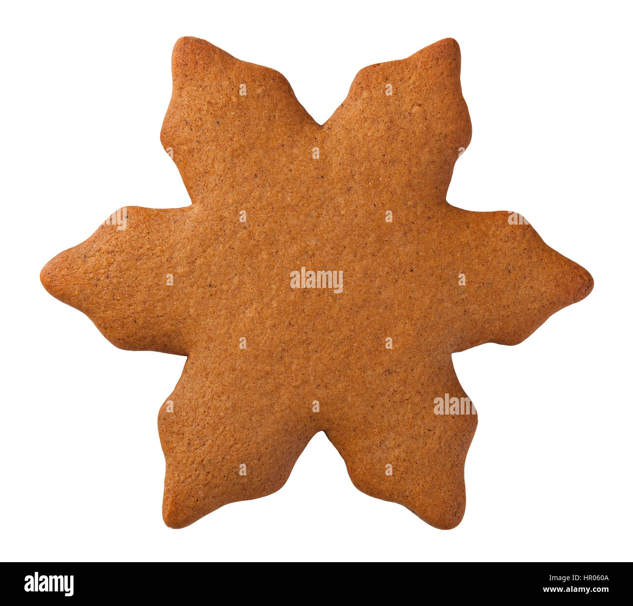 Gingerbread star cookie for Christmas isolated on white background. Top ...