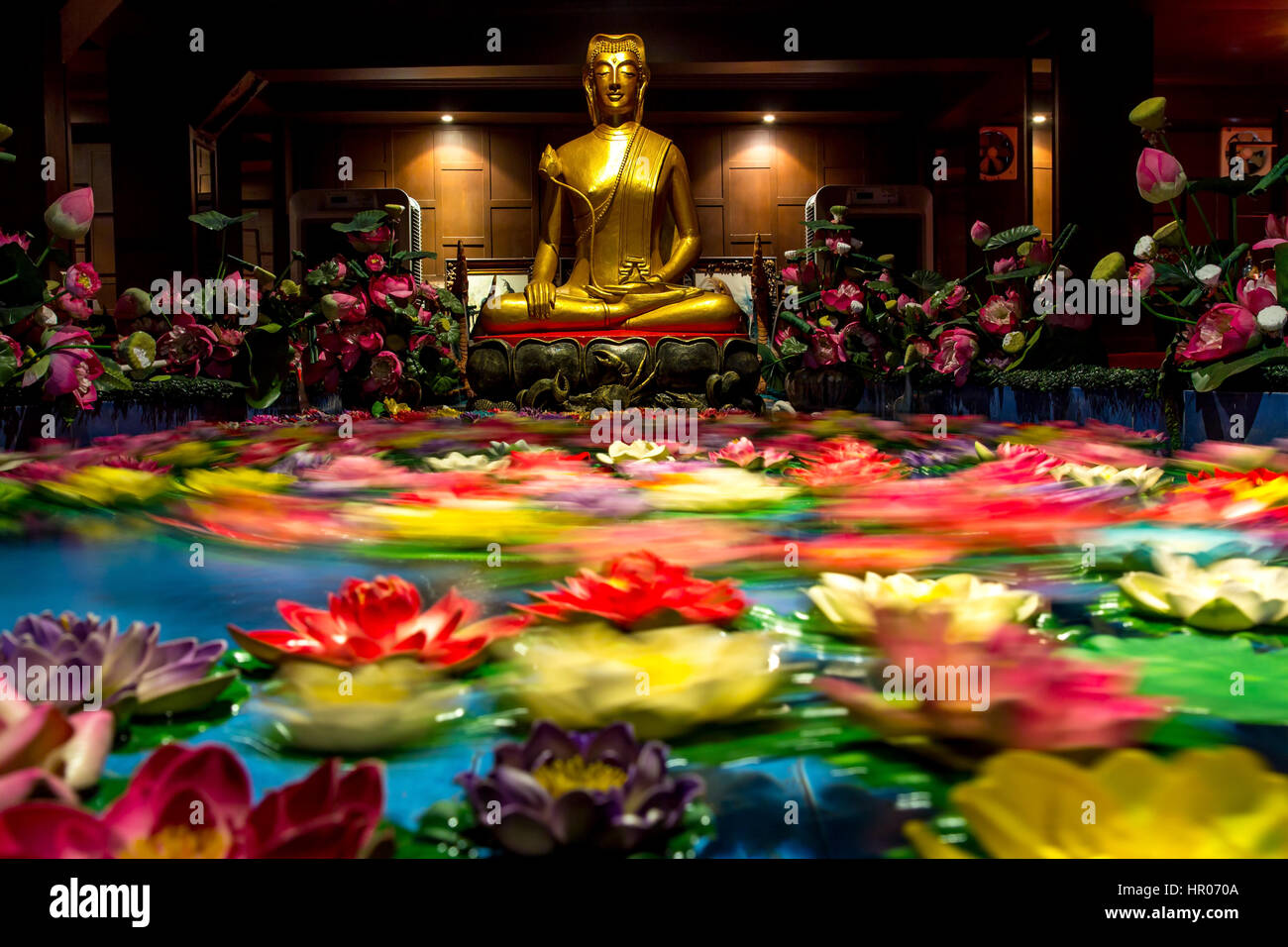 Colorful flowers floating under the golden statue of Buddha in Buddhist ...
