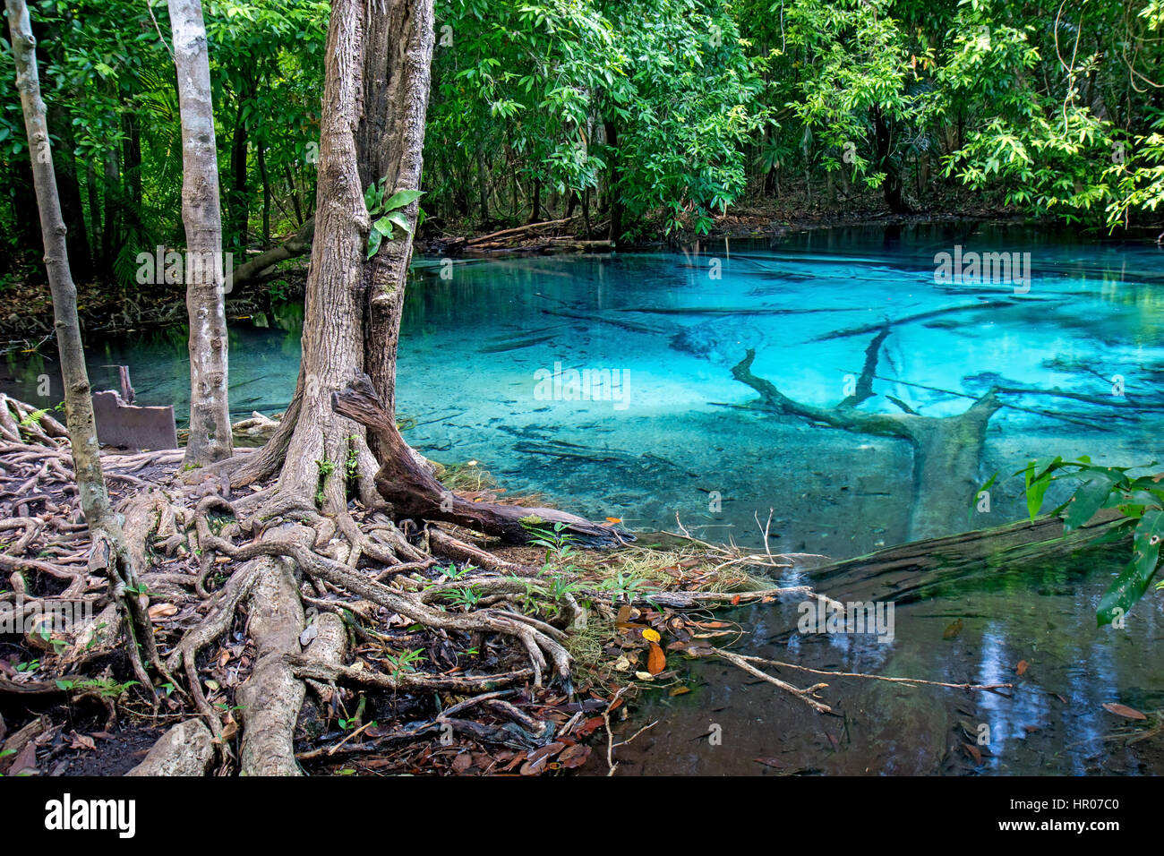 Emerald pool krabi hi-res stock photography and images - Alamy