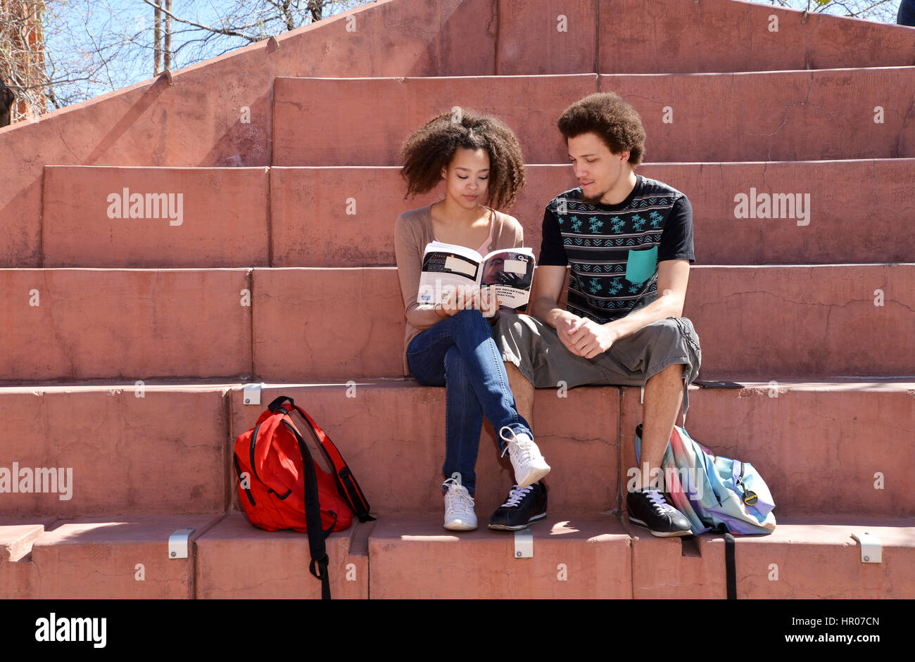 Studious young men hi-res stock photography and images - Alamy