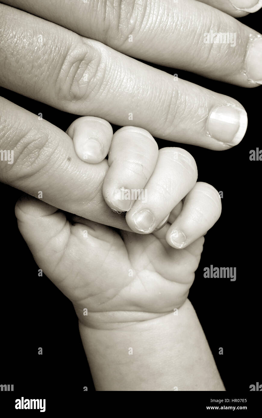 baby hand holding by adult Stock Photo - Alamy