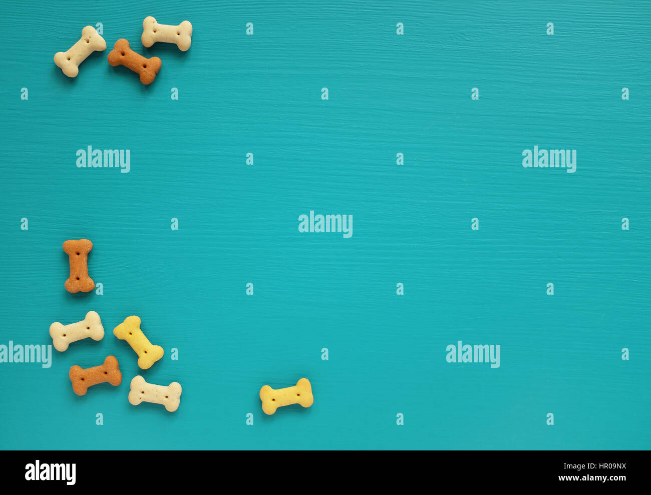 Bone-shaped dog biscuits scattered as left border on a turquoise ...