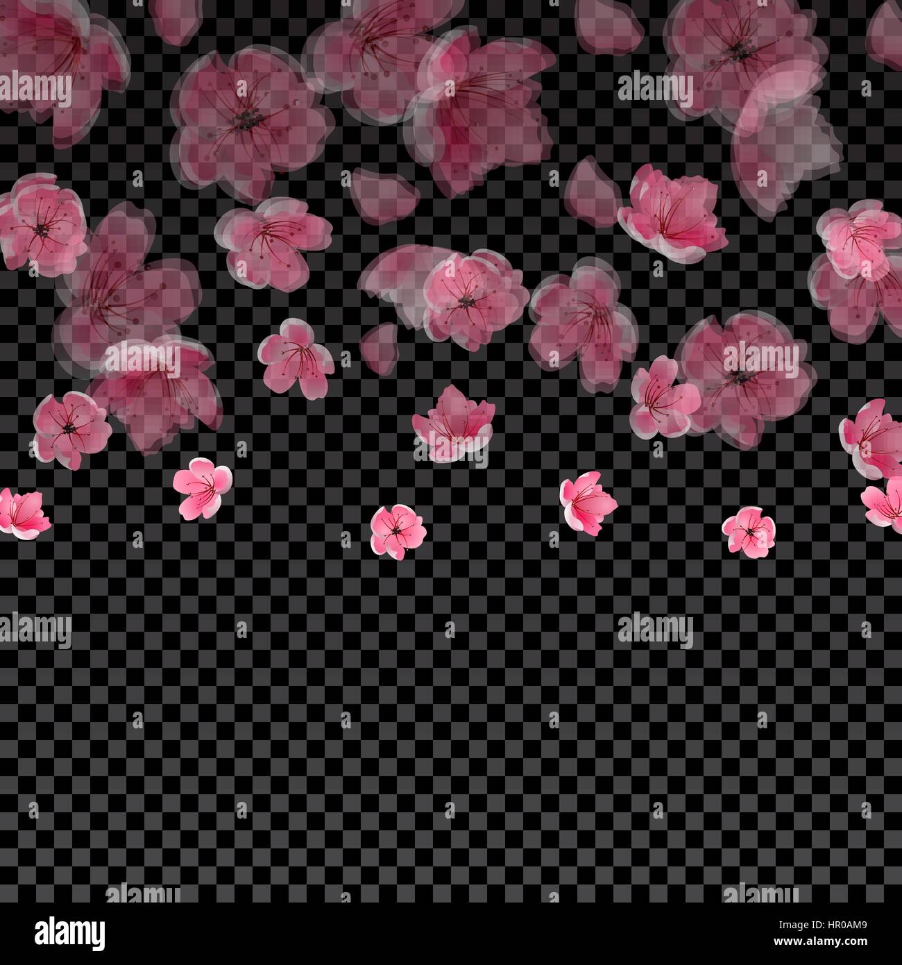 Flying semi transparent petals and cherry blossoms. On Checker ...