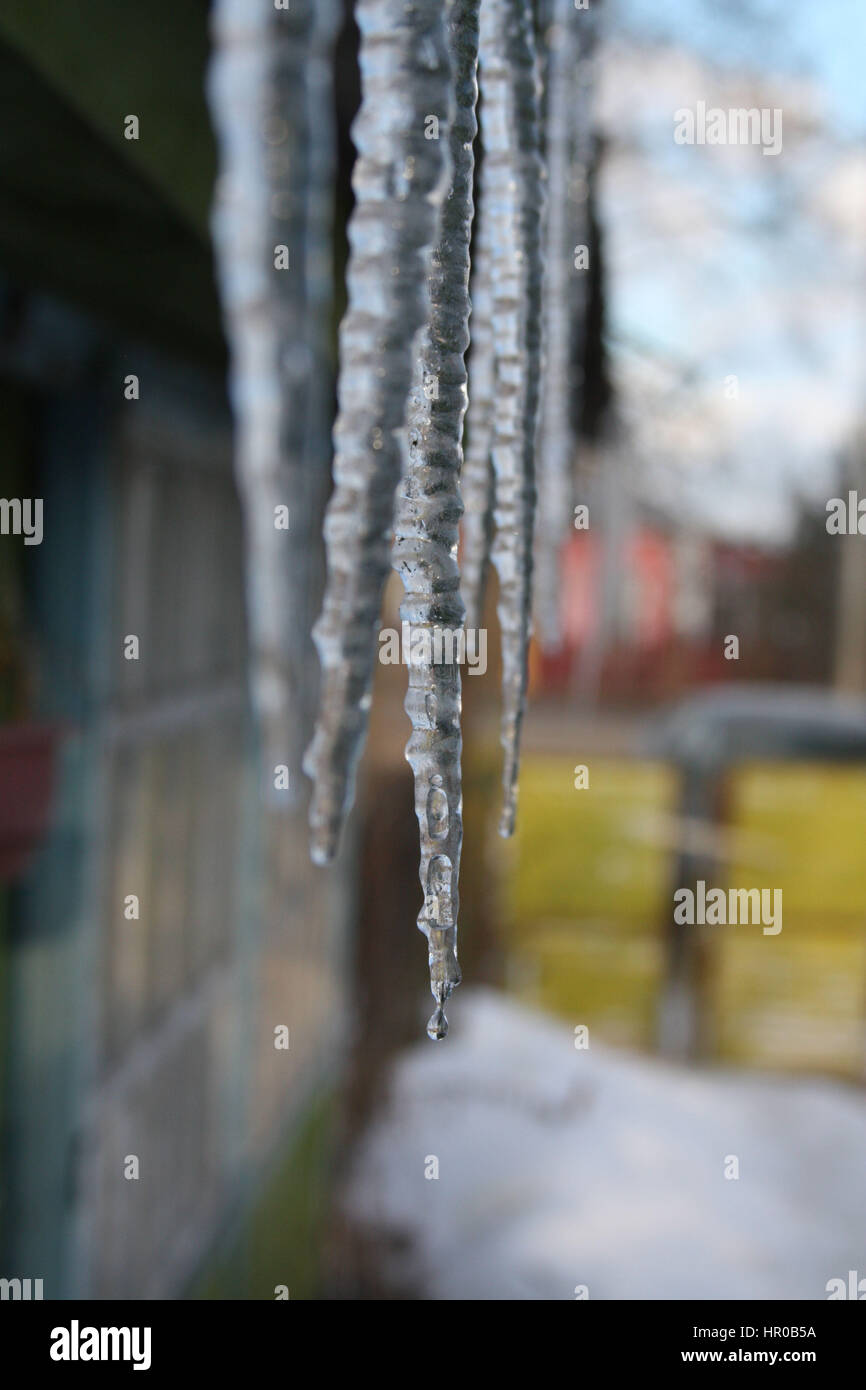 long shiny icicles hanging from the roof line and dripping Stock Photo ...