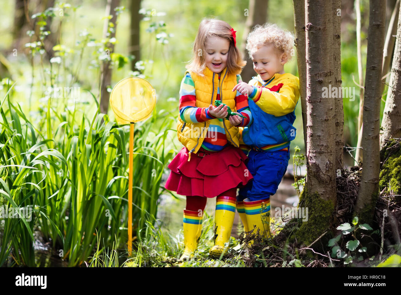 Children playing outdoors. Preschool kids catching frog with net. Boy ...