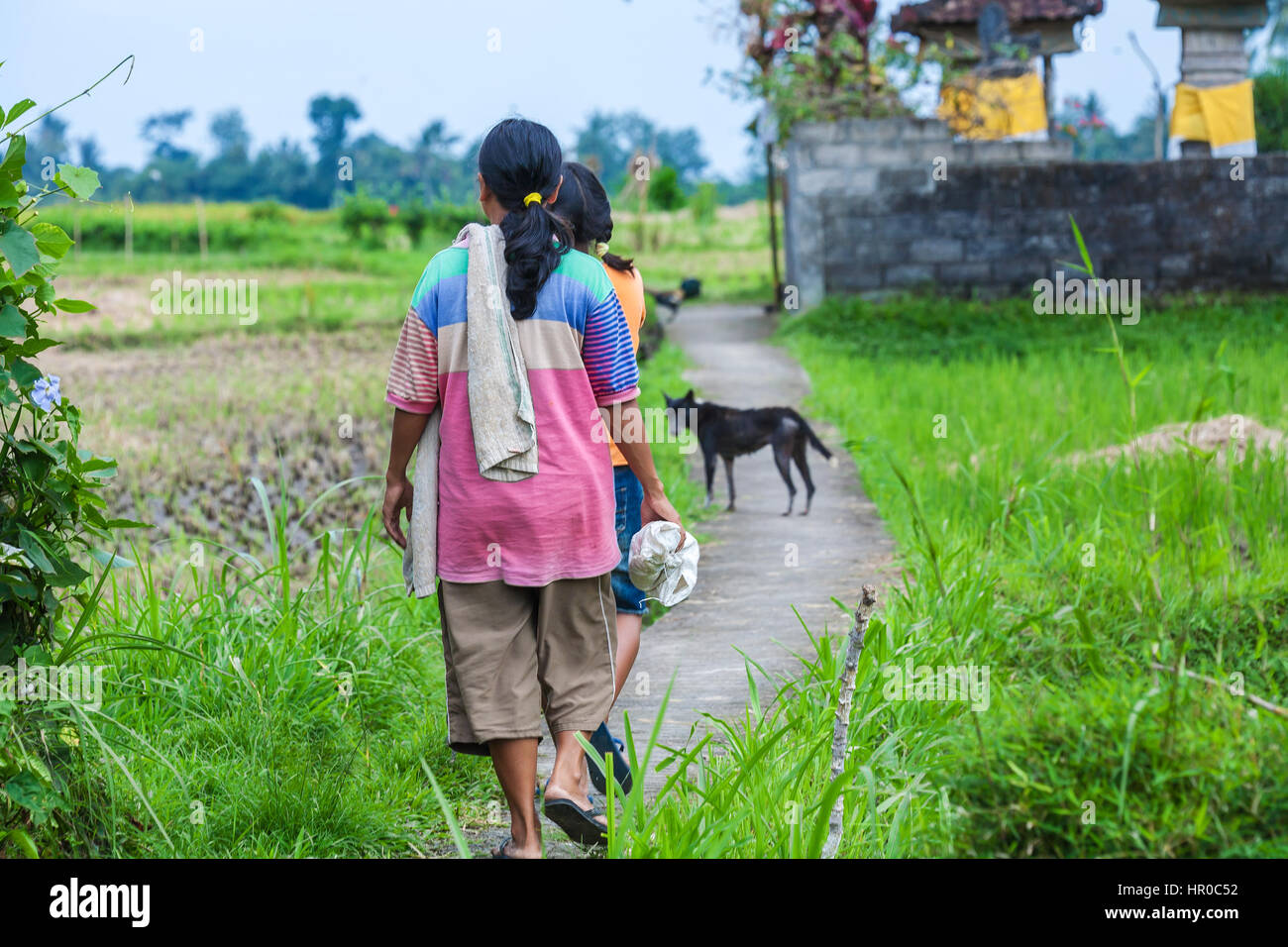 BALI, INDONESIA - AUGUST 27, 2008: Two girls and dog walk on a rice ...