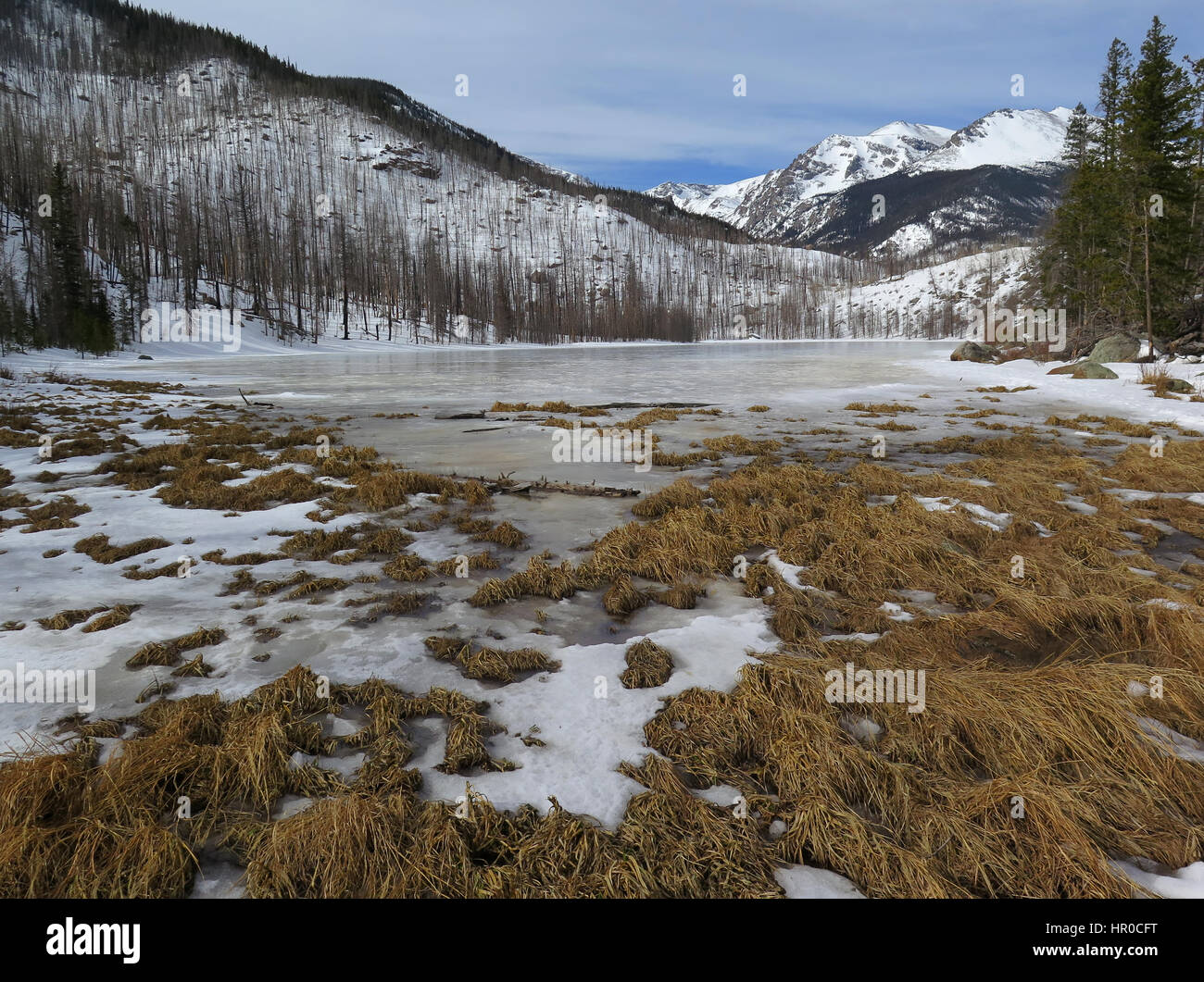 Cub Lake frozen in the winter located in the popular Rocky Mountain ...